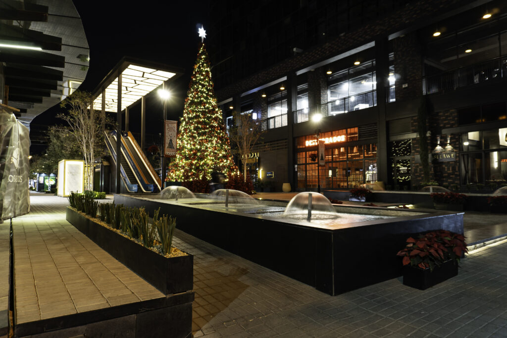 Distrito 1 - PRO Chihuahua.